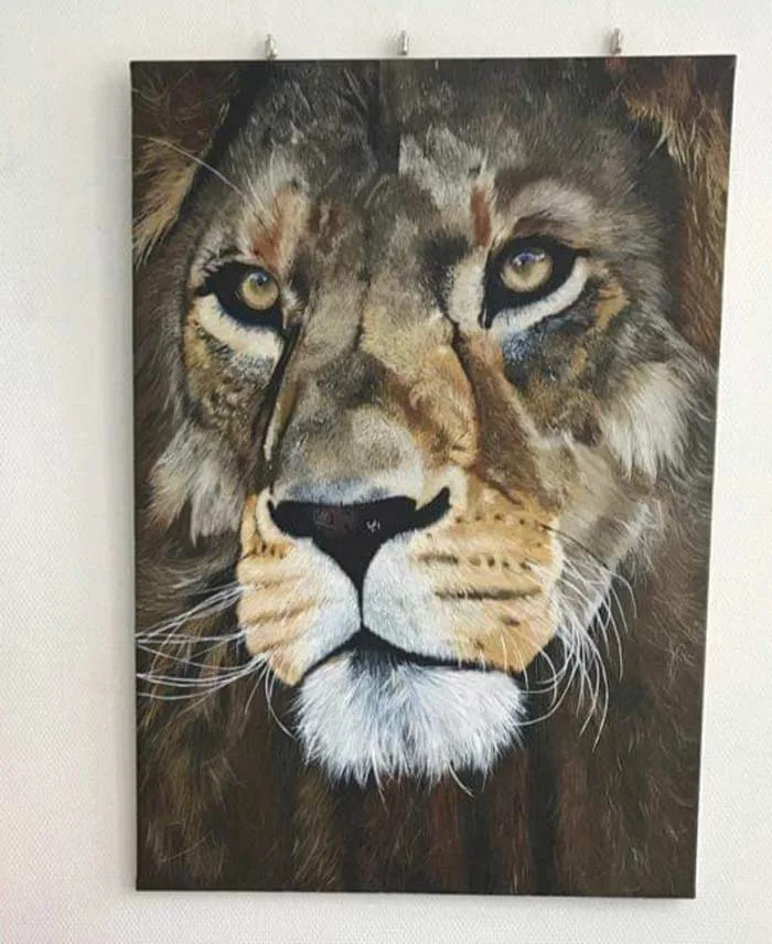 Hyper Realistic Paintings Oil Painting Inspiration Portrait