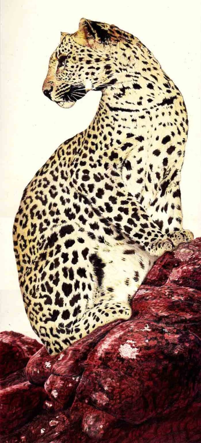 Incredible hyper realistic pencil drawings with colored pencils