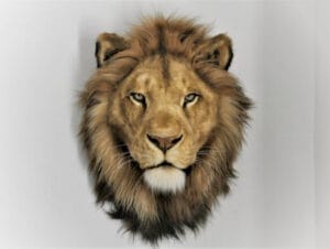 Incredible Animals Replicas Which Are Both Life-size and Realistic