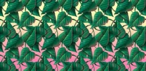 Colombian Multidisciplinary artist Katty Huertas on Trendy Art Ideas