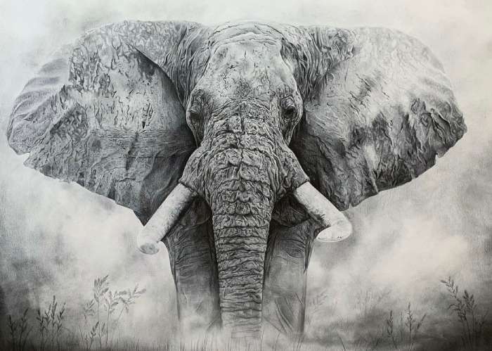 Stunning Realistic Pet Portraits & Wildlife Art by Nikki Zeebroek ...