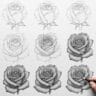 Draw a Realistic Rose Easy: A Beginner-Friendly Step-by-Step - Trendy ...