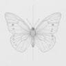 Draw a Realistic Butterfly: Easy Techniques for Beginners - Trendy Art ...