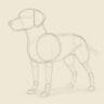 How to Draw a Realistic Dog with Pencil – Easy Beginner’s Guide ...