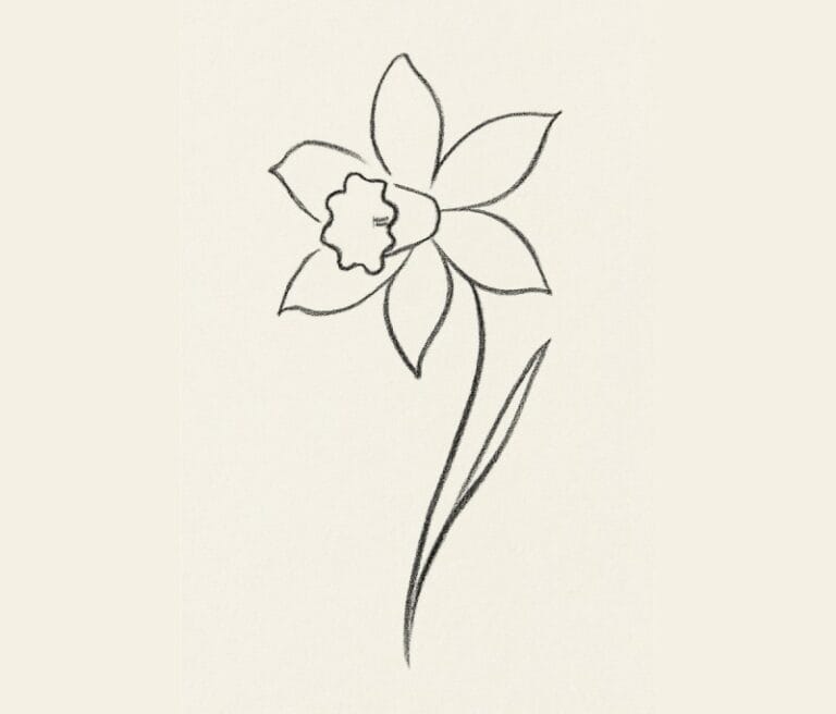 10 Beautiful Daffodil Drawing Ideas to Celebrate the Joy of Spring ...