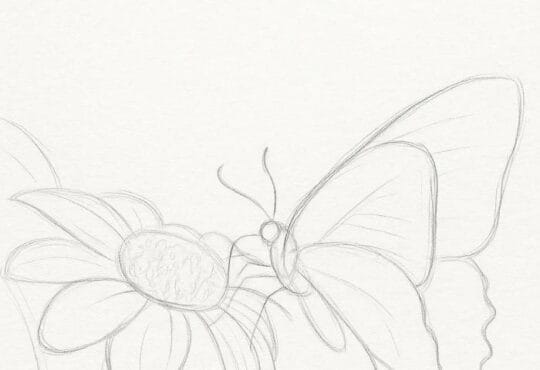 How to Draw a Realistic Sunflower with Pencil Shading Techniques ...