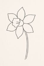 10 Beautiful Daffodil Drawing Ideas to Celebrate the Joy of Spring ...