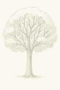 How to Draw a Tree Easily: From Basic Shapes to Realistic Form - Trendy ...